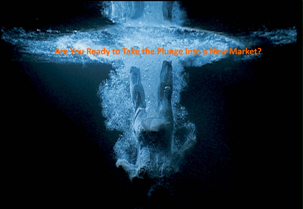 Improve New Market Entry Success With These Steps VisionEdge Marketing